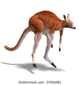 Macropodiformes Images, Stock Photos & Vectors | Shutterstock