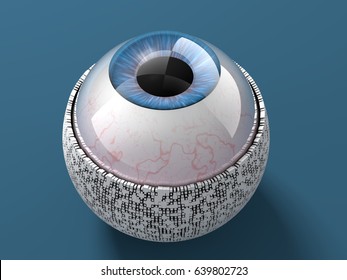 3d Rendering Bionic Eye Prototype Implant Stock Illustration 639802723 ...