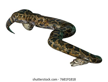Ilustrasi Stok 3d Rendering Green Anaconda Eunectes Murinus 775409410 ...