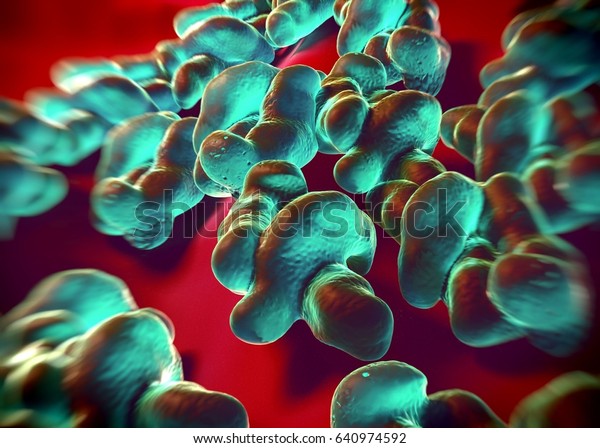 3d Rendering Campylobacter Jejuni Bacteria Stock Illustration 640974592 ...