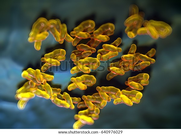 3d Rendering Campylobacter Jejuni Bacteria Stock Illustration 640976029 ...