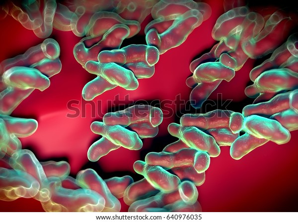3d Rendering Campylobacter Jejuni Bacteria Stock Illustration 640976035 ...