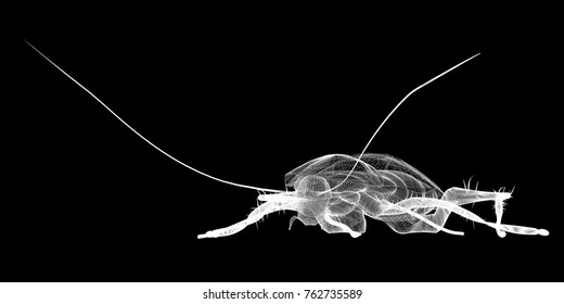 3d Rendering Cockroach Body Structure Isolated Stock Illustration ...