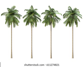 7,450 Coconut Tree Render Images, Stock Photos & Vectors | Shutterstock