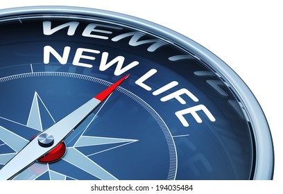3d Rendering Compass New Life Icon Stock Illustration 194035484 ...
