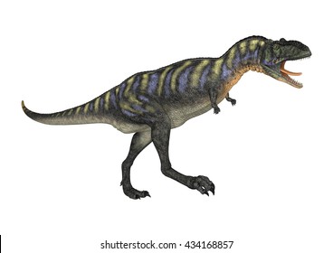 Nothosaurus Extinct Genus Sauropterygian Reptile Triassic Stock Photo ...