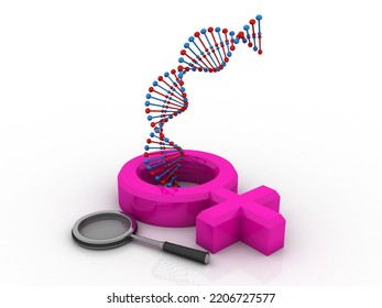 3d Rendering Dna Search Analysis Female Stock Illustration 2206727577 ...