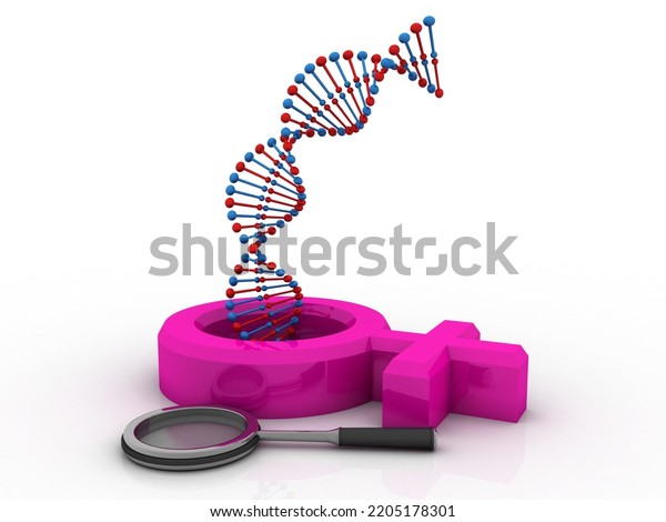 3d Rendering Dna Search Analysis Female Stock Illustration 2205178301 ...