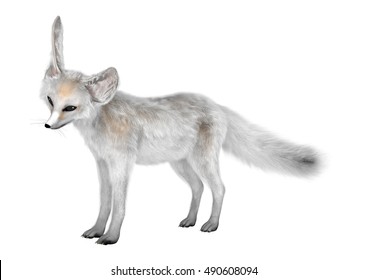 3d Rendering Fennec Fox Isolated On Stock Illustration 489645781 ...