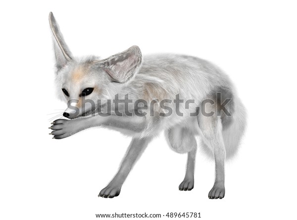3d Rendering Fennec Fox Isolated On Stock Illustration 489645781 ...