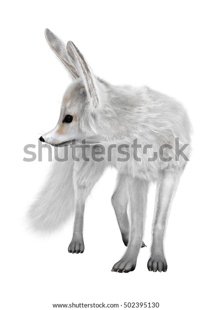 3d Rendering Fennec Fox Isolated On Stock Illustration 502395130 ...