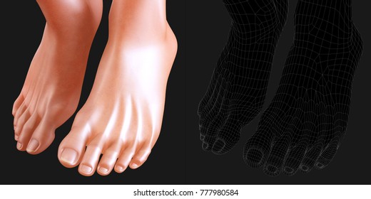 47,113 3d foot Images, Stock Photos & Vectors | Shutterstock