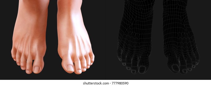109 imágenes de Nail anatomy 3d - Imágenes, fotos y vectores de stock ...