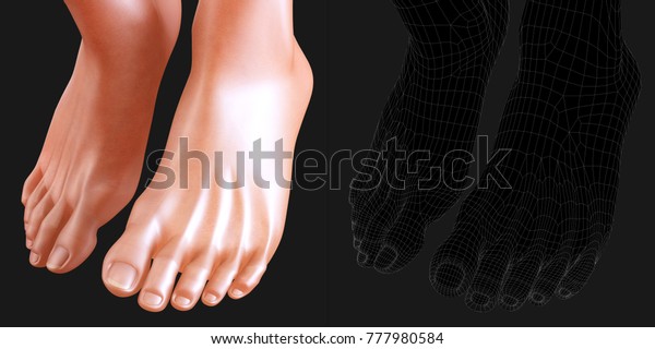 3d Rendering Foot Stock Illustration 777980584 | Shutterstock