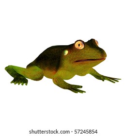 3d Rendering Frog Illustration Stock Illustration 57245854 | Shutterstock