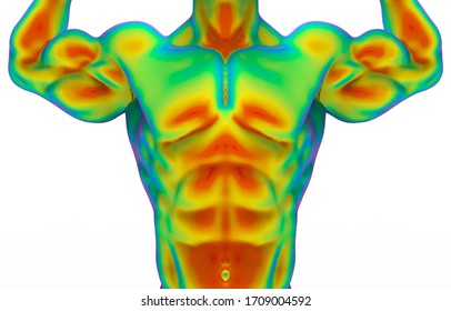 1,745 Human body infrared Images, Stock Photos & Vectors | Shutterstock