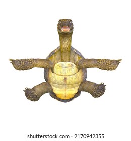 1,724 Tortoise gaming Images, Stock Photos & Vectors | Shutterstock