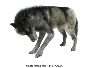 3d Rendering Gray Wolf Isolated On Stock Illustration 1431720722 ...