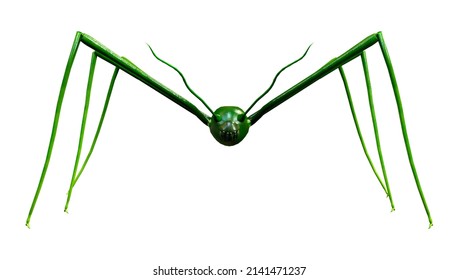 2,983 Stick bug Stock Illustrations, Images & Vectors | Shutterstock