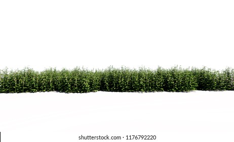 323,724 Abstract Bush Images, Stock Photos & Vectors | Shutterstock