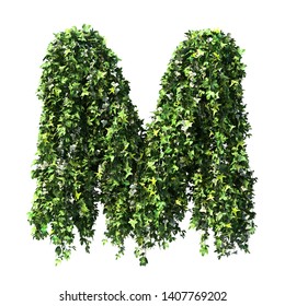 3d Rendering Hedera Alphabet Stock Illustration 1407769202 | Shutterstock