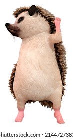 537 Dancing hedgehog Images, Stock Photos & Vectors | Shutterstock