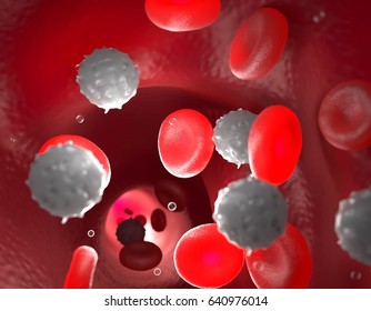 3d Rendering Human Blood Stream Stock Illustration 640976014 | Shutterstock