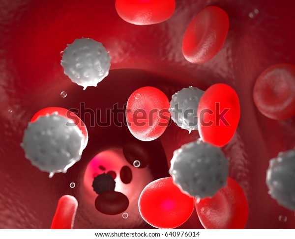 3d Rendering Human Blood Stream Stock Illustration 640976014 | Shutterstock