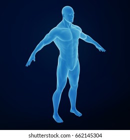 115,620 Human body rendering Images, Stock Photos & Vectors | Shutterstock
