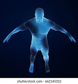 3d Rendering Human Body Stock Illustration 662145295