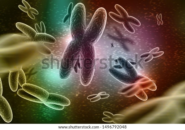 3d Rendering Human Body Chromosomes Stock Illustration 1496792048 ...