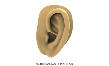 3d Rendering Human Ear Isolated White Stock Illustration 1462818770 ...