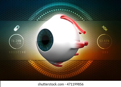 3d Rendering Human Eye Dissection Anatomy Stock Illustration 471199856 ...