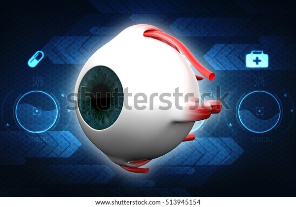 3d Rendering Human Eye Dissection Anatomy Stock Illustration 513945154 ...