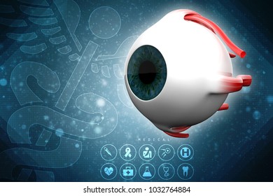 3d Rendering Human Eye Structure Stock Illustration 779257120
