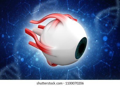 3d Rendering Human Eye Structure Stock Illustration 730827094