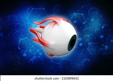 3d Rendering Human Eye Structure Stock Illustration 1007270857 ...