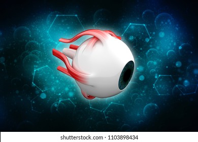 3d Rendering Human Eye Structure 스톡 일러스트 740768350 | Shutterstock