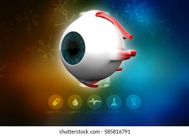 3d Rendering Human Eye Structure Stock Illustration 585816791 ...
