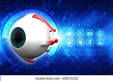 3d Rendering Human Eye Structure Stock Illustration 641921869