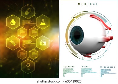 3d Rendering Human Eye Structure Stock Illustration 635419025 ...