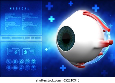 3d Rendering Human Eye Structure Stock Illustration 661526449
