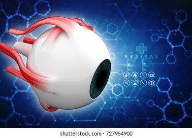 3d Rendering Human Eye Structure Stock Illustration 727954900 ...