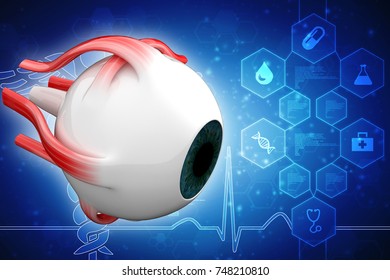 3d Rendering Human Eye Structure 스톡 일러스트 1589120017 | Shutterstock