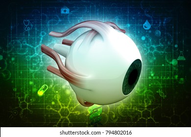 3d Rendering Human Eye Structure Stock Illustration 794802016 ...