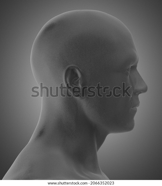 3d Rendering Human Face Anatomy Stock Illustration 2066352023 ...