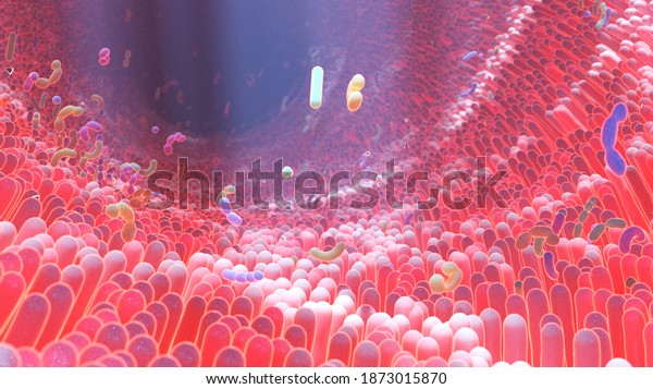 3d Rendering Human Gut Microbiome Stock Illustration 1873015870