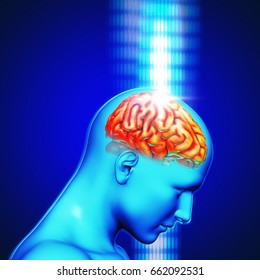 3d Rendering Human Head Highlighted Brain Stock Illustration 662092531 ...