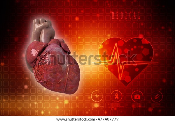 3d Rendering Human Heart Anatomy Human Stock Illustration 477407779 ...
