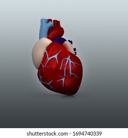 Strong Heart Strong Arms Showing Strong Stock Vector (Royalty Free ...